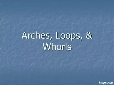 Ppt Arches Loops And Whorls Powerpoint Presentation Free Download Id 787500