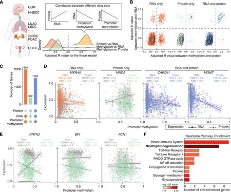 Integrative Multi Omic Cancer Profiling Reveals Dna Methylation Patterns Associated With