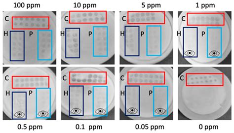 A Critical Comparison Between Flow Through And Lateral Flow Immunoassay