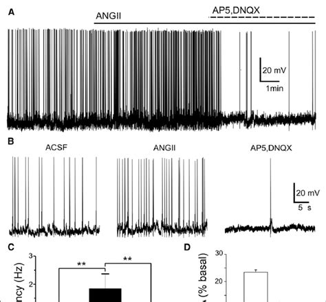 Angiotensin Ii Angii Driven Presympathetic Paraventricular Nucleus