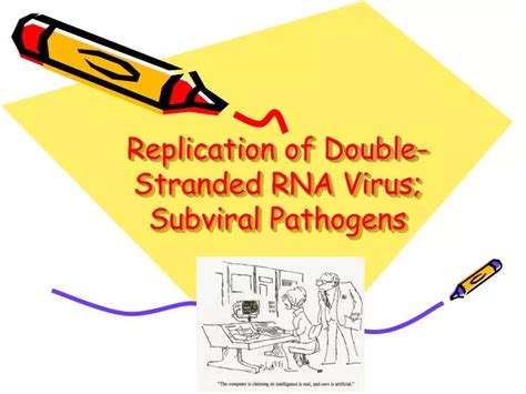Ppt Replication Of Double Stranded Rna Virus Subviral Pathogens Powerpoint Presentation Id