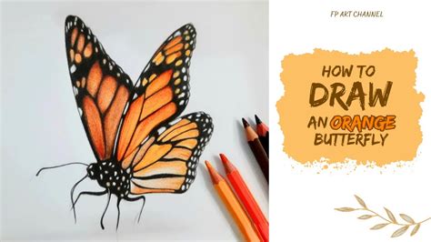 چطوری خیلی آسون و راحت یک پروانه بکشیم؟ آموزش مرحله به مرحله طراحی با