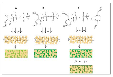 2 Schematic Illustration Of Membrane Pore Filling And Chemical Download Scientific Diagram