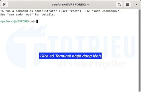 Cách cài MetaTrader 5 và MT4 trên VPS Forex Ubuntu Học Đầu Tư Forex