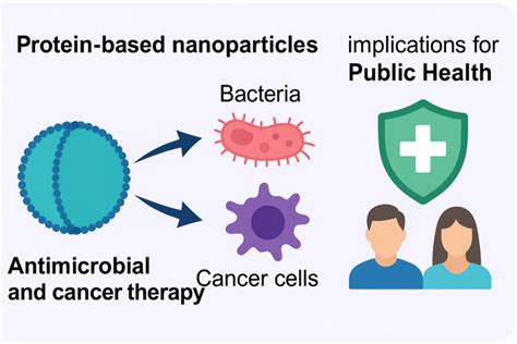 Protein Based Nanoparticles For Antimicrobial And Cancer Therapy Implications For Public Health