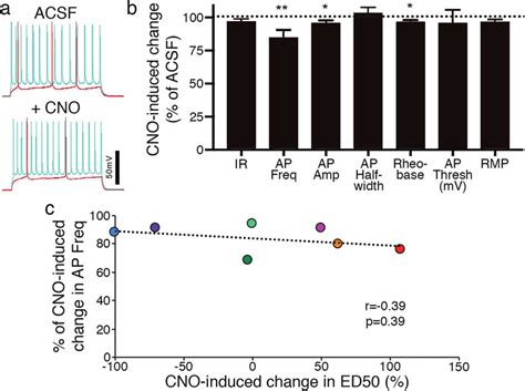Ex Vivo Whole Cell Patch Clamp Electrophysiological Analysis Of Dreadd Download Scientific