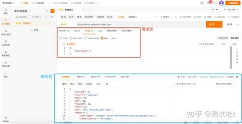 Api Apipost