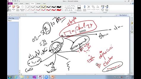 Section 2 Part 1 Youtube