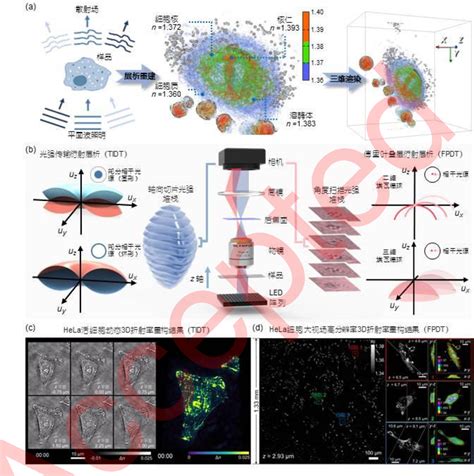 Figure 1 From Computational Optical Phase Imaging From Digital Holographic Interferometry To