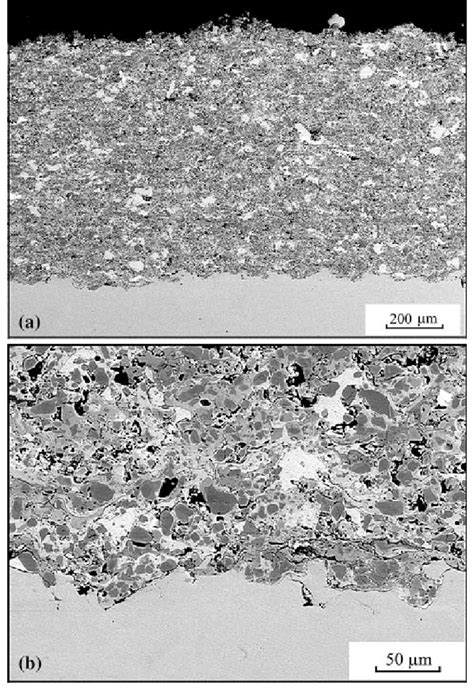 Cross Section Microstructure Of The Hvof Sprayed Cr 3 C 2 Nicr Coating