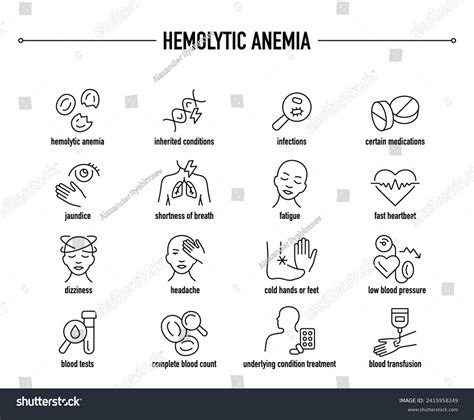 Hemolytic Anemia Symptoms Diagnostic Treatment Vector Stock Vector Royalty Free 2415958249