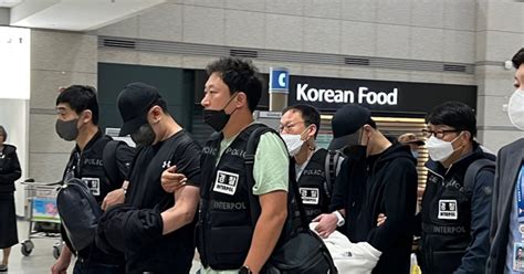 저금리 대출로 유인 108억원 가로챈 보이스피싱 조직 강제 송환