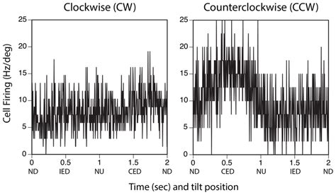 Responses Of A RFN Neuron Whose Activity Was Modulated By One Direction Download Scientific