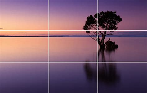 Week 5 Day 30 Rule Of Thirds Photography Rule Of Thirds