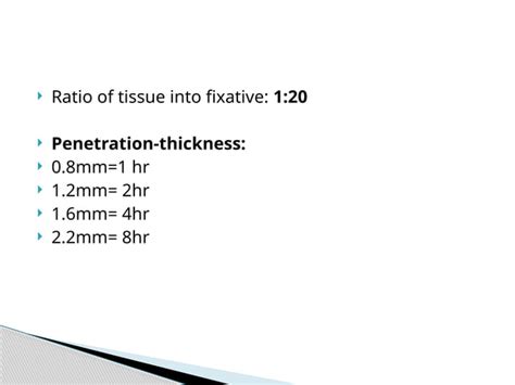 Fixation Consists Of Two Steps Cessation Of Normal Life Functions In