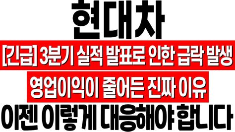 현대차 주가 전망 3분기 실적 발표로 인한 급락 발생 영업 이익이 줄어든 진짜 이유 긴급 대응 전략 현대차 인도 상장