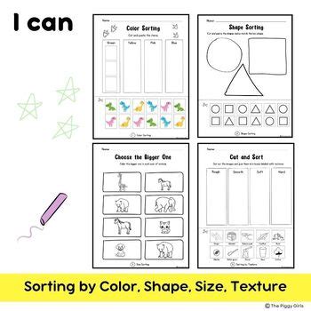 Sorting Objects Into Categories Sorting By Attributes Category Sorting 2