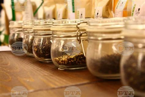 Регионалният исторически музей в София е домакин на тазгодишното издание на Festeaval Утро