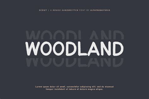 Scout Font · 1001 Fonts