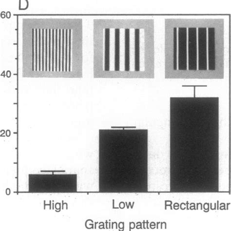 Responses Of Single Units To A Rectangular Wave And Its High And