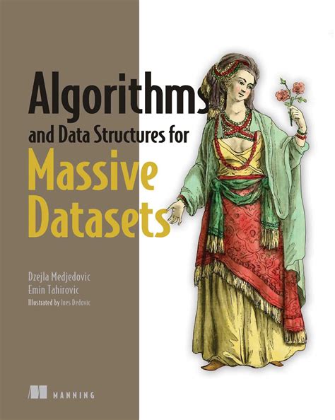 Algorithms And Data Structures For Massive Datasets Dzejla Medjedovic