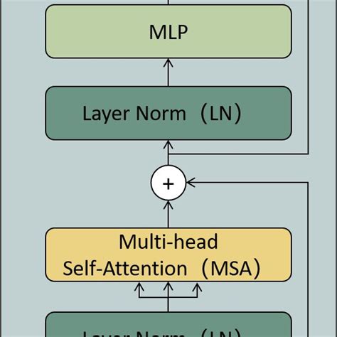 Transformer Encoder Block Download Scientific Diagram