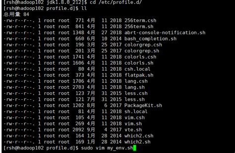 Hadoop克隆三台虚拟机安装jdk和hadoop并配置环境变量 几人著眼到青衫 博客园