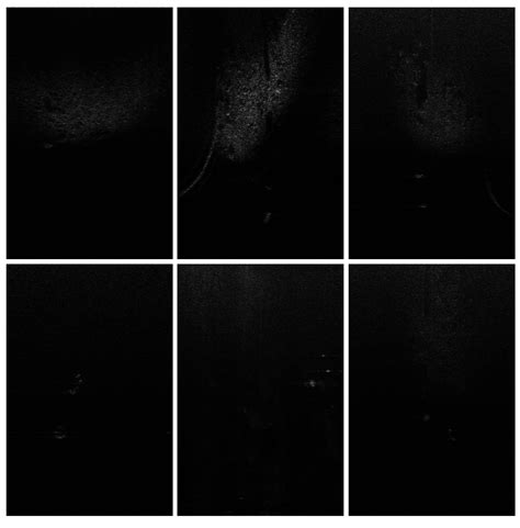 Aquayolo Enhancing Yolov8 For Accurate Underwater Object Detection For