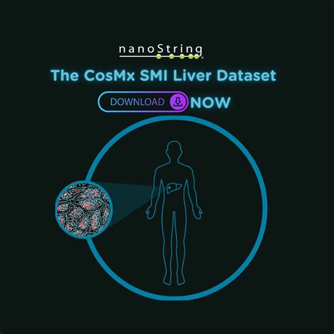 Vasileios Kampanis Phd Posted On Linkedin