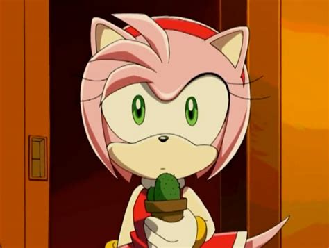 Amy Rose Sad Deleted Scene Sonic X Episode 50 By Mennomoog On Deviantart