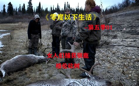零度以下的生活5季01捕猎驯鹿水车捕鱼砍树纪录片 荒野求生影视 S哥 荒野求生影视 S哥 哔哩哔哩视频