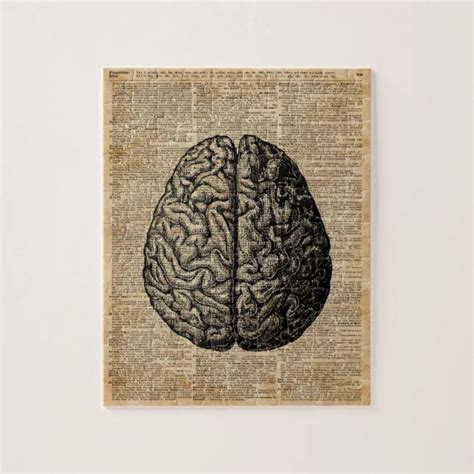 Human Brain Vintage Illustration Dictionary Art Jigsaw Puzzle Zazzle