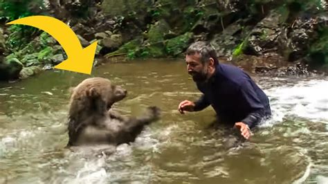 This Mama Bear Begs A Man To Help Save Her Cubs YouTube