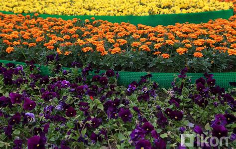 ФОТО Төв цэнгэлдэхэд наадамлаж яваа зочид