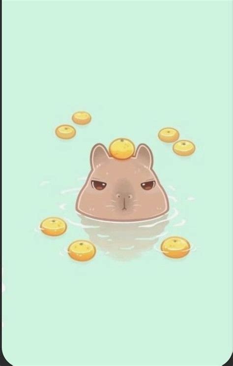 Cute Capybaras Chilling In Hot Spring With Oranges Sticker By Rustydoodle Artofit