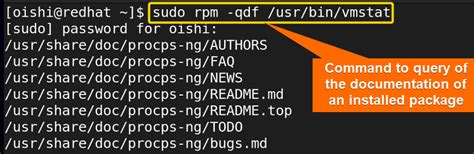 A Total Guide On RPM Package Manager In Linux LinuxSimply