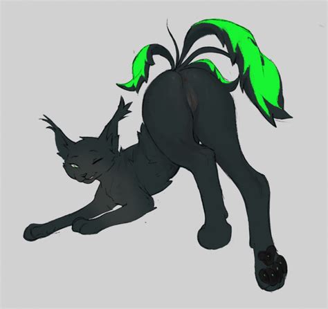 Rule 34 Anus Ass Ass Up Black Body Black Fur Black Pawpads Felid Feline Female Feral Fur