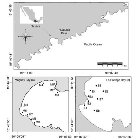 Non Metric Multidimensional Scaling Of Sampling Points Carried Out Download Scientific Diagram