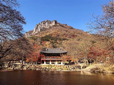 물에 비친 가을 풍경의 대명사