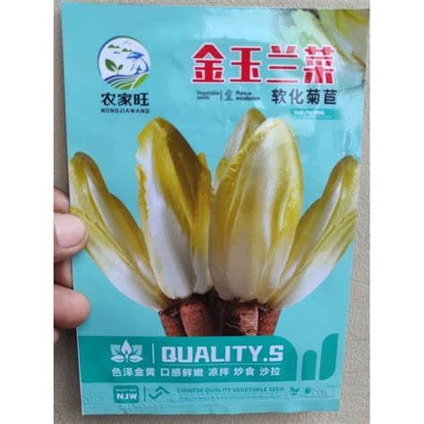 Jual Biji Benih Tanaman Belgian Endive Shopee Indonesia