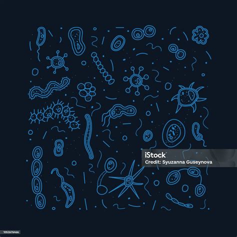 박테리아 세포 구성을 설정합니다 벡터 일러스트입니다 0명에 대한 스톡 벡터 아트 및 기타 이미지 0명 개체 그룹 건강관리와 의술 Istock