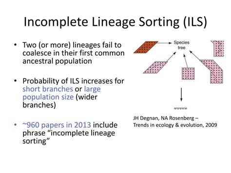 Ppt Estimating Species Trees From Multiple Gene Trees In The Presence