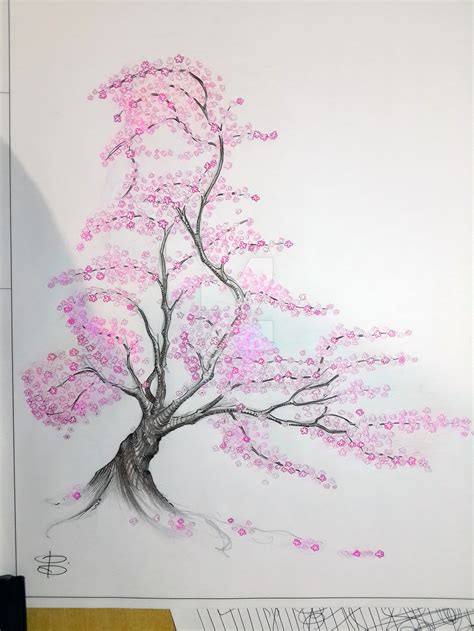 Cherry Blossom Sketch At Explore Collection Of