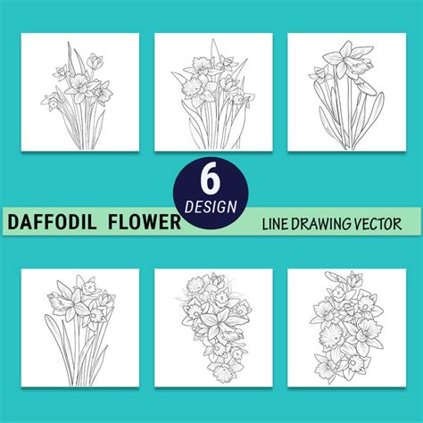 Daffodil Outline Scientific Daffodil Botanical Illustration Vintage