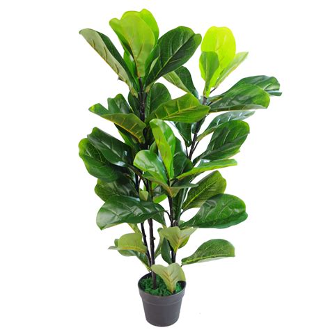 90cm 3ft Large Artificial Fiddle Fig Tree Ficus Lyrata Plant Leaf Artificial Plants And Trees