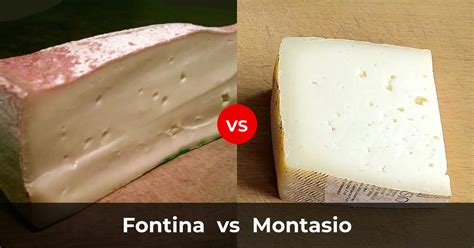 Fontina Cheese Vs Montasio Cheese Whats The Difference Taste Texture Uses Anycheese