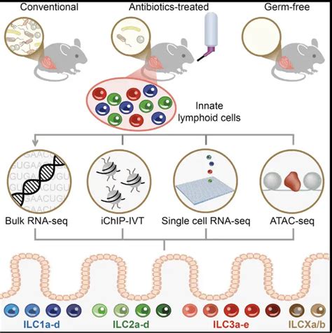 Chapter 40 Mass Cytometry In Microbiome Research Learn Cytometry