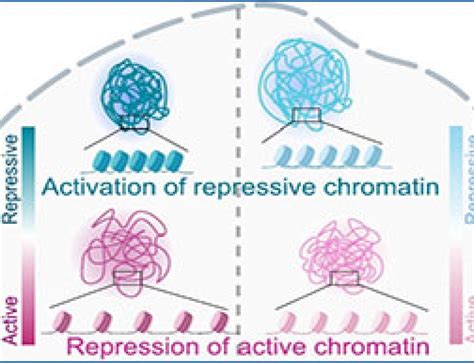 Next Generation Rna Sequencing Of Archival Formalin Fixed Paraffin