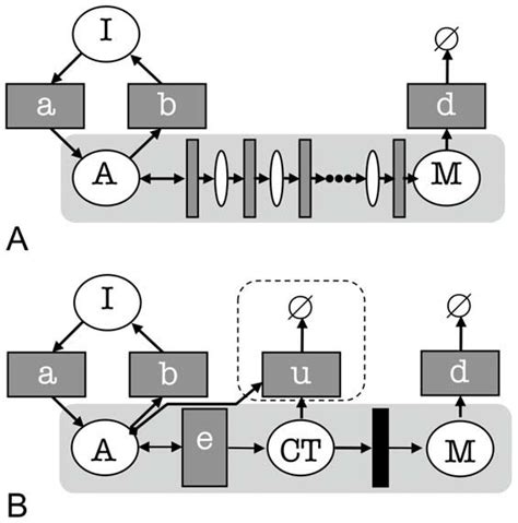 Modelling Initiation Synthesis And The Coupling Between Them A