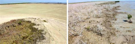 11 Views Of Transect 1a Visited In October 2018 Showing The High Tide